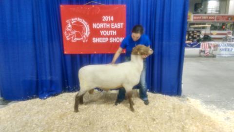 NATIONAL TUNIS SHEEP REGISTRY, INC.